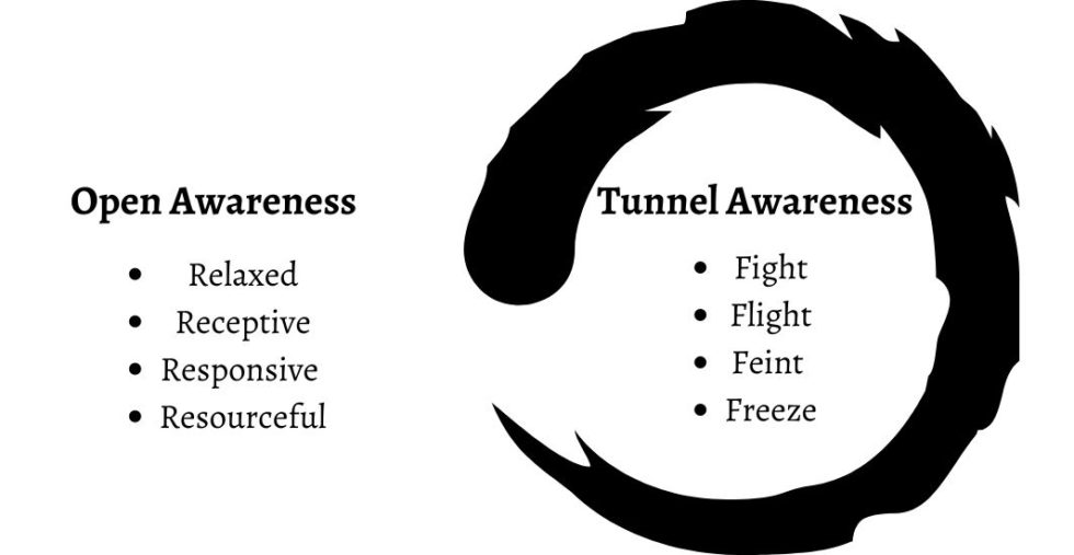 Open Awareness: The Power of Expanded Awareness